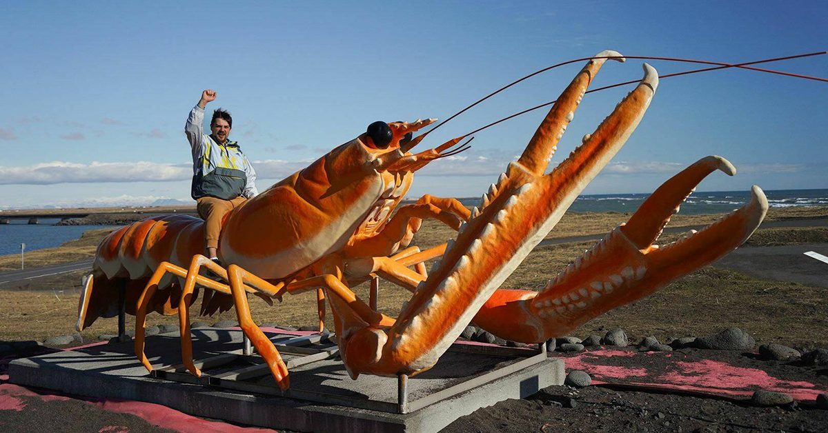 Daily Morning Awesomeness | Awesome Morning Pics, Gifs & More - theCHIVE