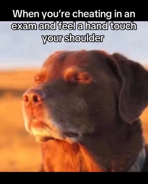 Dank Memes Keep the Weekend Going Strong