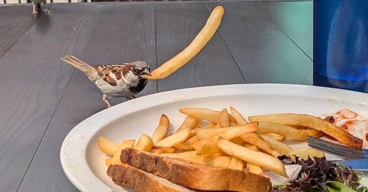 Daily Afternoon Randomness | Random Memes, Photos & Gifs - theCHIVE