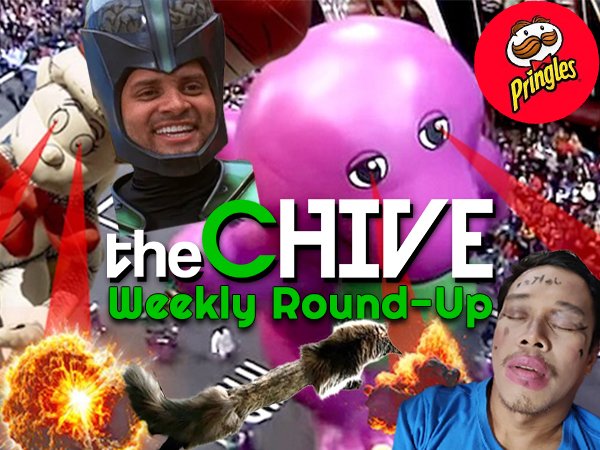 ICYMI: theChive Weekly Round-Up