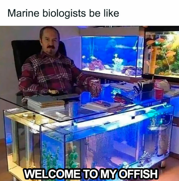 Quantum Chuckles: Science Memes That Matter