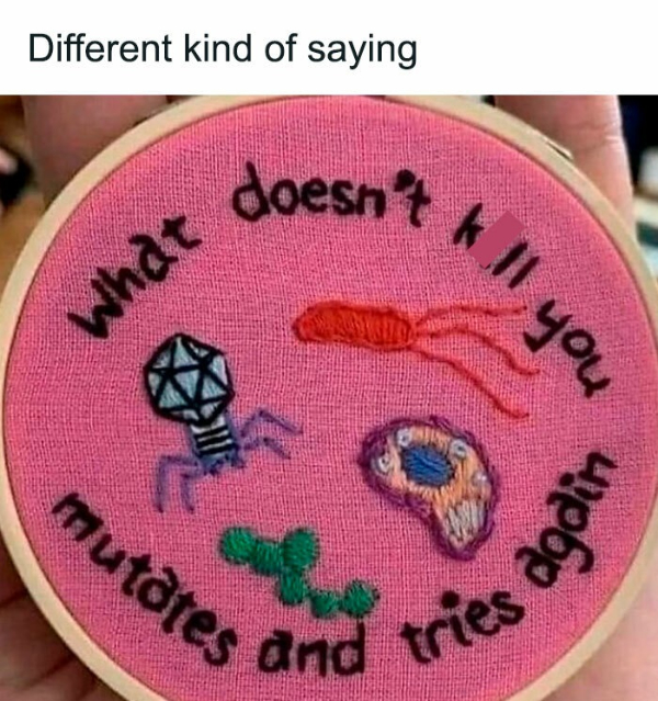 Quantum Chuckles: Science Memes That Matter