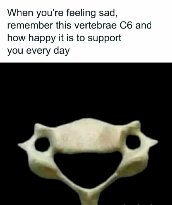 Quantum Chuckles: Science Memes That Matter