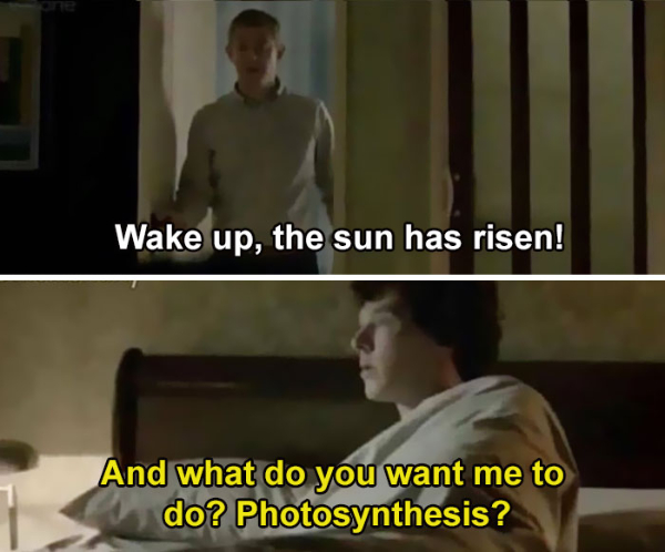 Quantum Chuckles: Science Memes That Matter