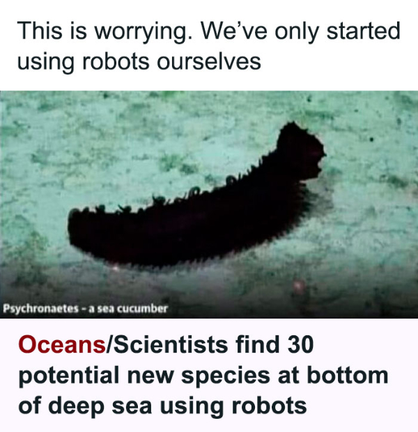 Quantum Chuckles: Science Memes That Matter