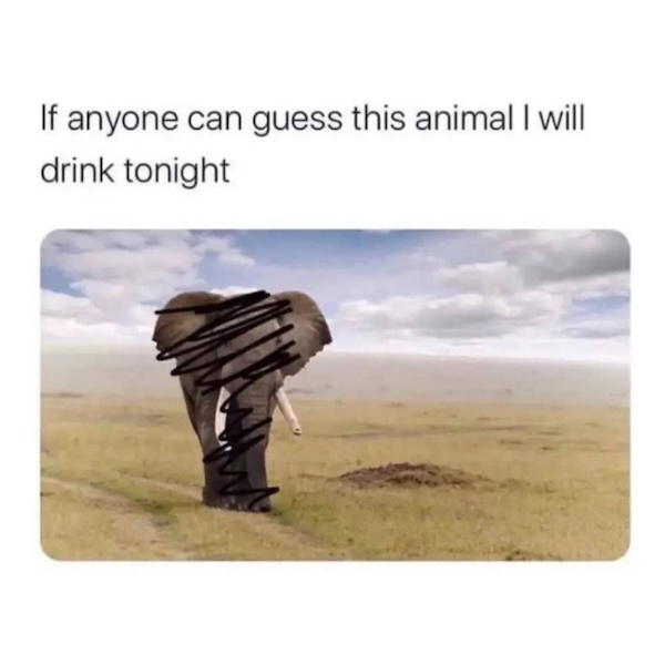 Go home, drunk, you're memes