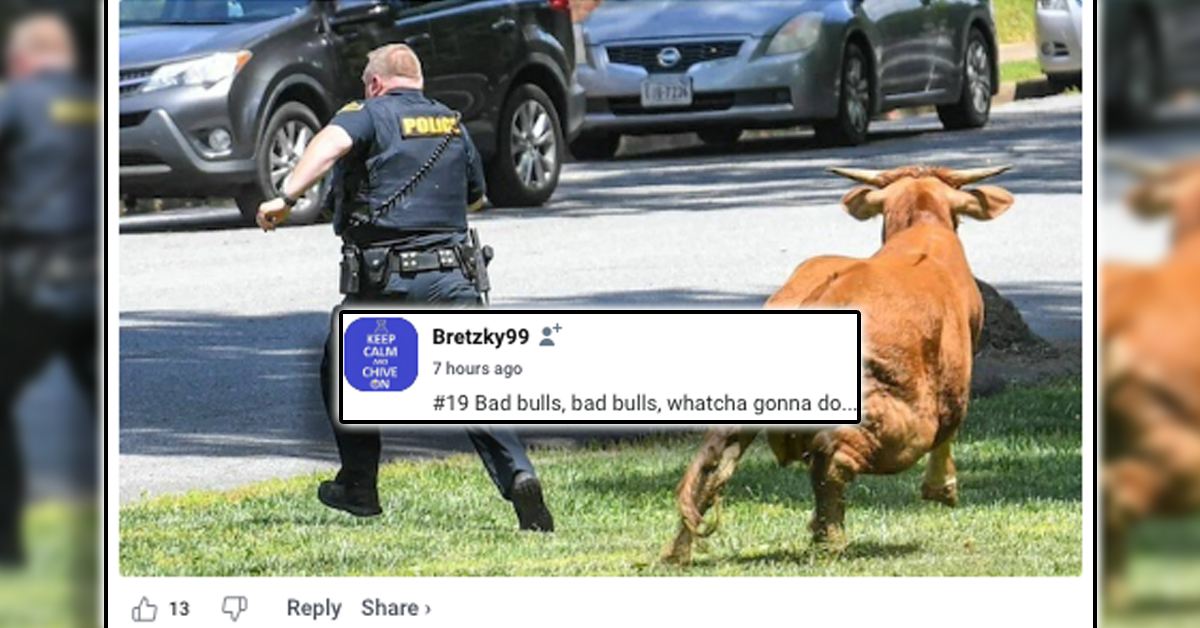 Awesome Photos | Daily Awesome Videos & Awesome GIFs - theCHIVE