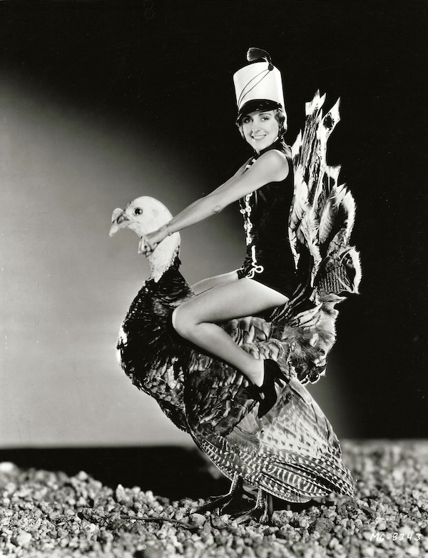 These Vintage Thanksgiving Pinups Have Threatening Energy (24 Photos)