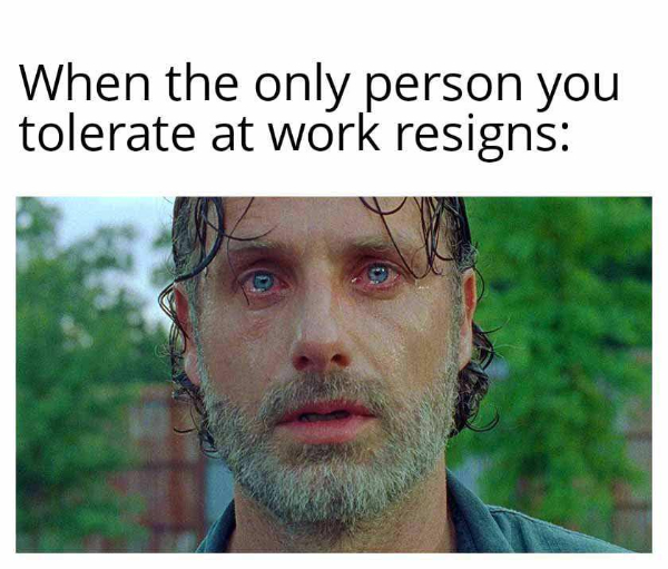 Memes So Dank They Might Need a Bath