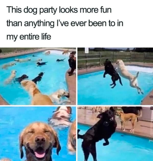 Bask in the Wholesome Happiness!