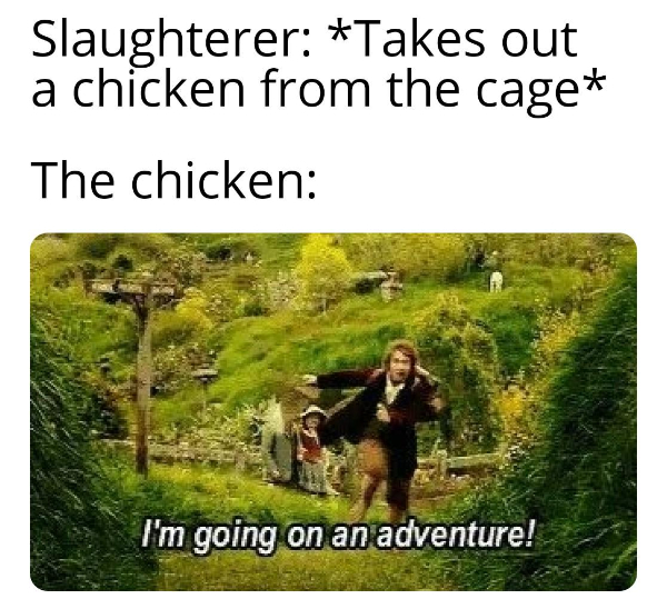 Memes So Dank They Might Need a Bath