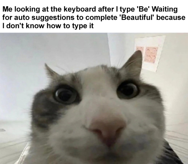 Take a Moment for Some Dank Dank Dank Memes