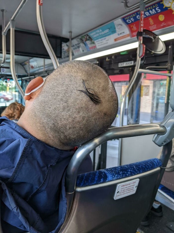 The ugliest, disturbing haircuts arguably in existance.