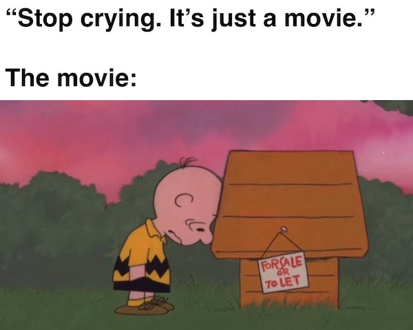 Peanuts memes that would cheer even Charlie Brown up