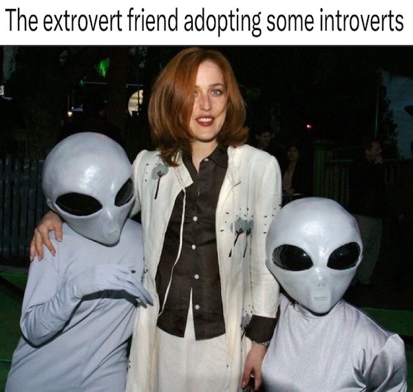 Mind-LESS morning Memes of Funny Stupid yet Too TRUE Monday Sucks Pics