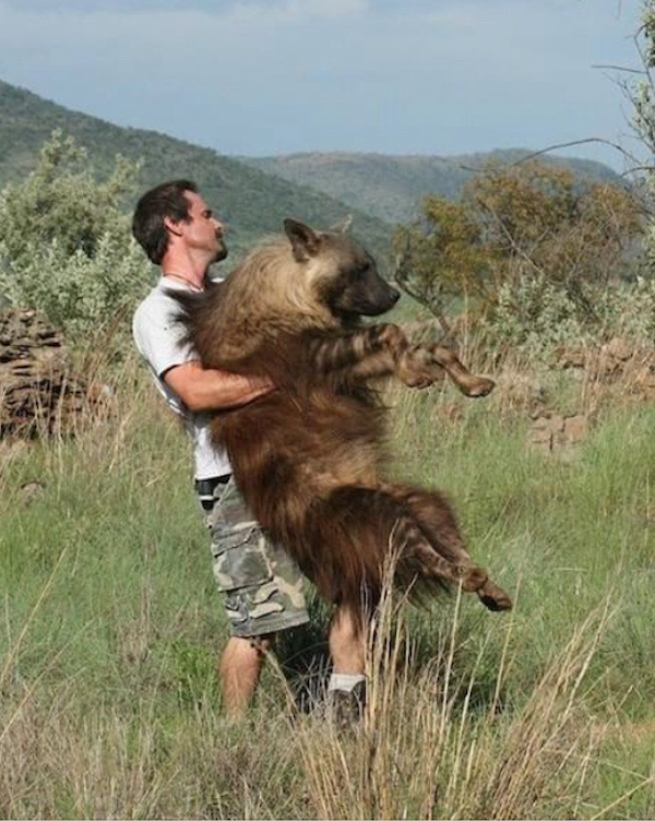 Caption THIS for Strange Pictures of Logic-LESS WTF Ideas