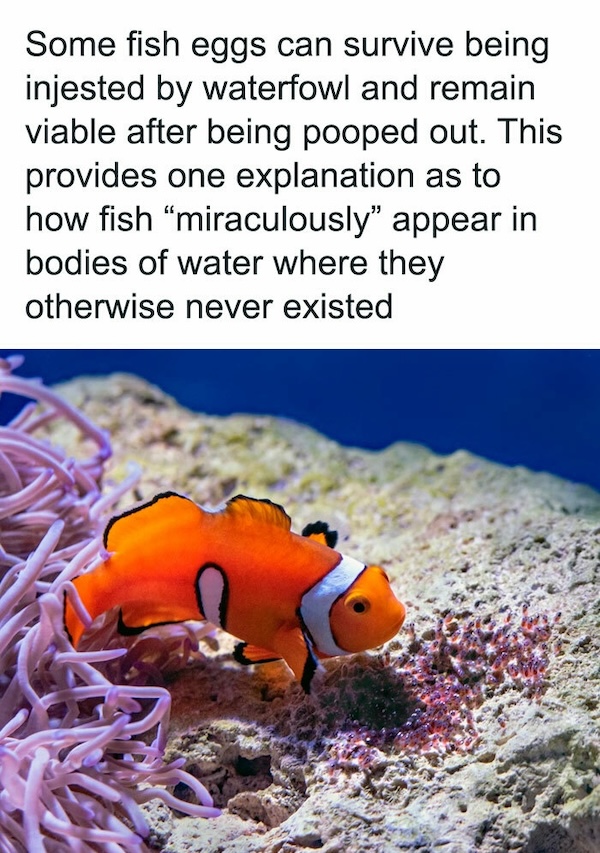 We have it on good authority that this is "How Everything Works"