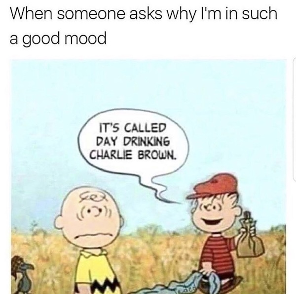 Peanuts memes that would cheer even Charlie Brown up