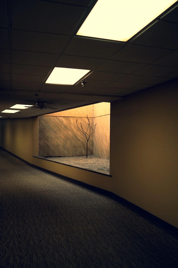 Liminal spaces are like a massage for your mind (25 Photos)