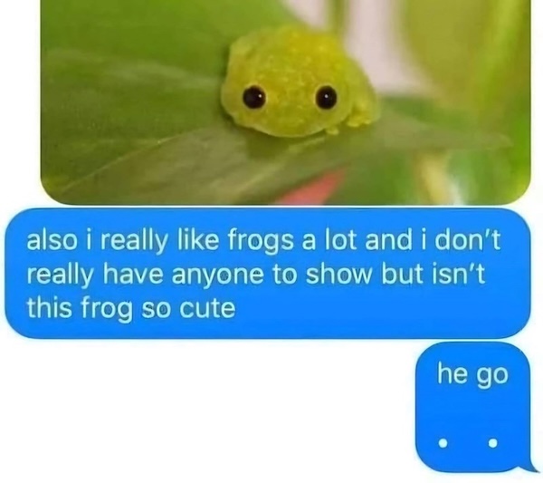 These frog memes are ribbeting...get it?