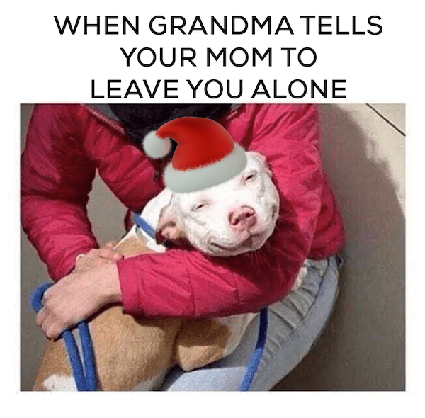 Unwrap Christmas memes while hiding from family on the toilet