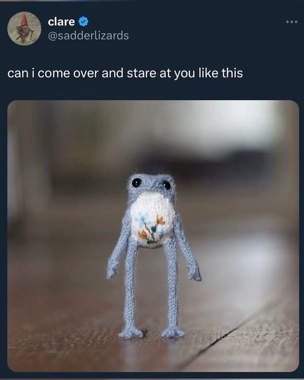 These frog memes are ribbeting...get it?