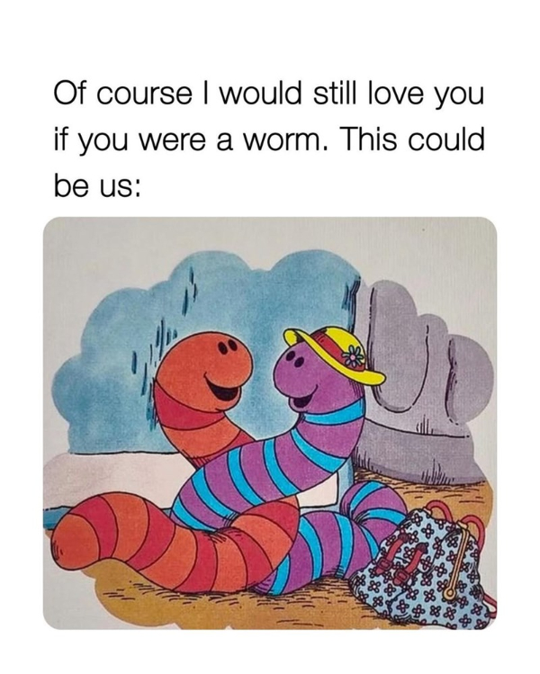 Wholesome Memes Make Us Happy