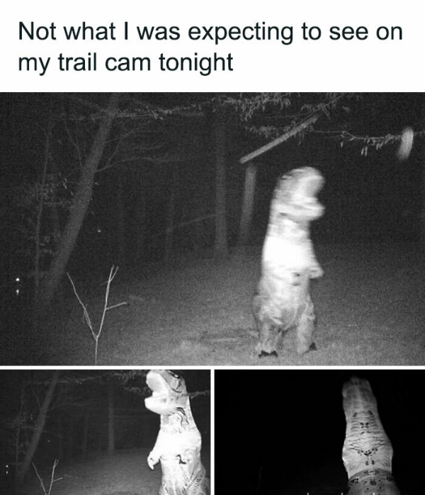 Dinosaur Memes. You Know You Want Them.