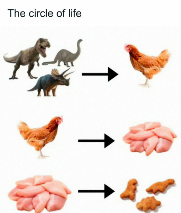 Dinosaur Memes. You Know You Want Them.