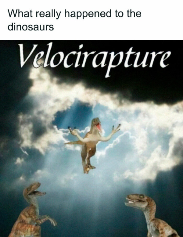 Dinosaur Memes. You Know You Want Them.