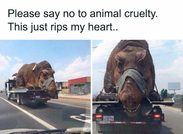 Dinosaur Memes. You Know You Want Them.