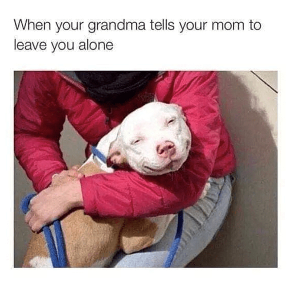 Fill Up on Grandma Memes… Grandmemes?