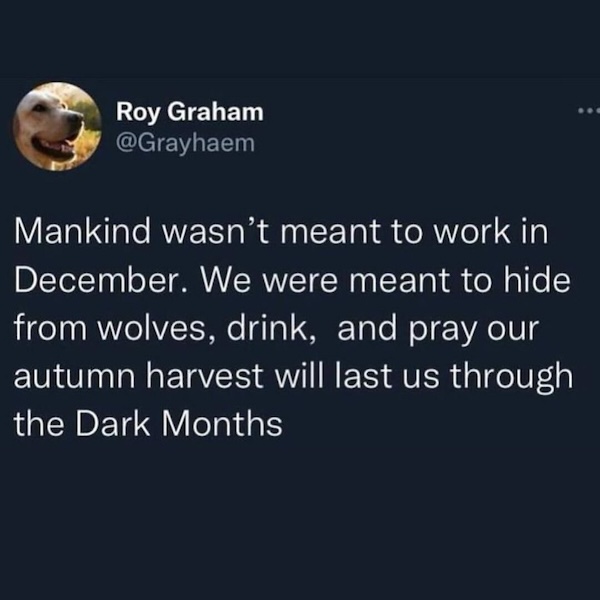 Holly Jolly Holiday Memes for a Chill Christmas Eve (36 Photos)