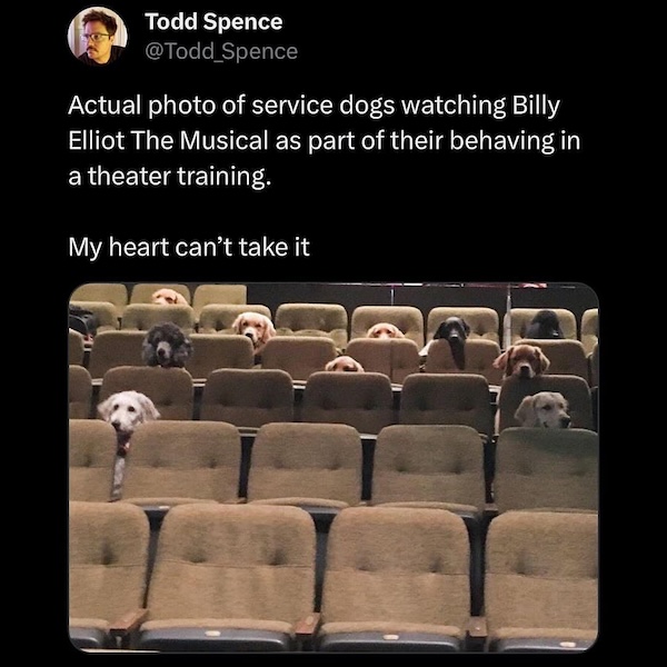 Silly Stupid Memes for Snoozy Saturday Sloths (29 Photos)