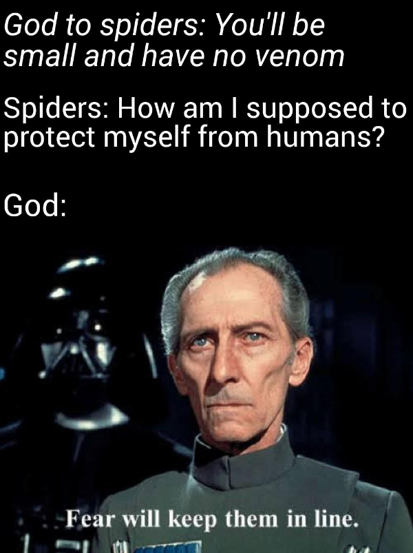 Take a Moment for Some Dank Dank Dank Memes