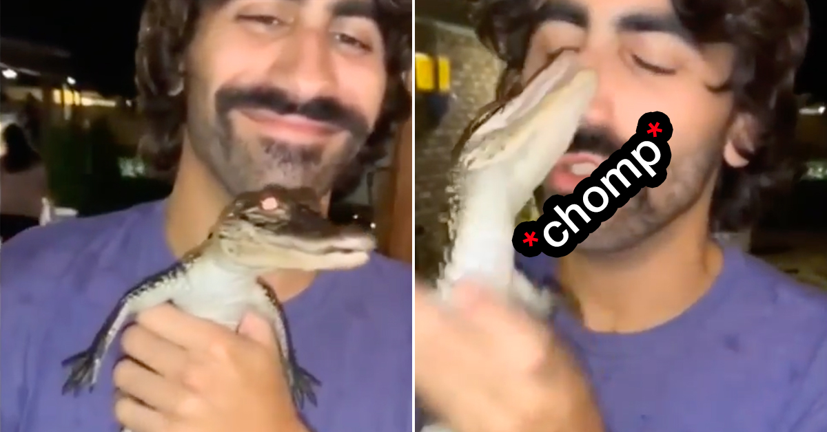 Epic Fails | Funny Fail Memes, Videos, and Pics - theCHIVE