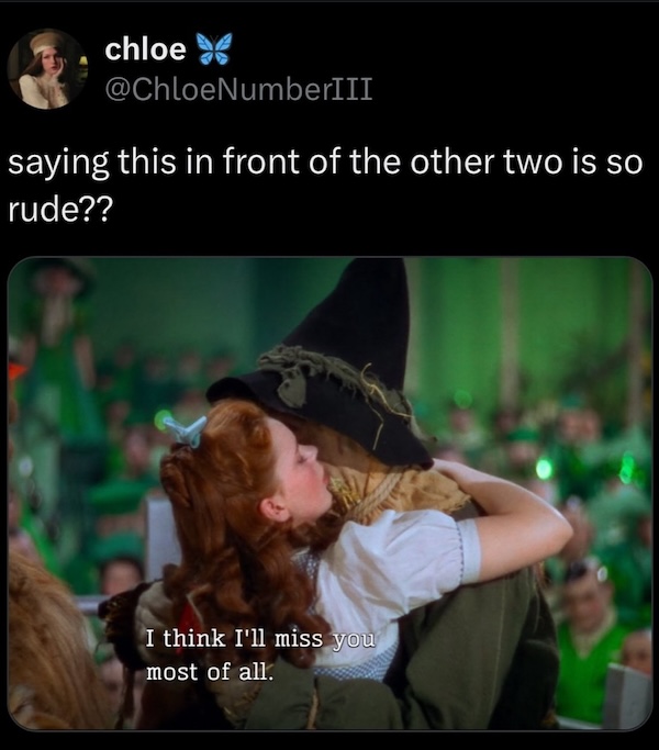 Silly Stupid Memes for Snoozy Saturday Sloths (29 Photos)