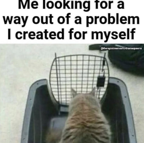 Adulting Memes Hit Way Too Hard & I Hate It