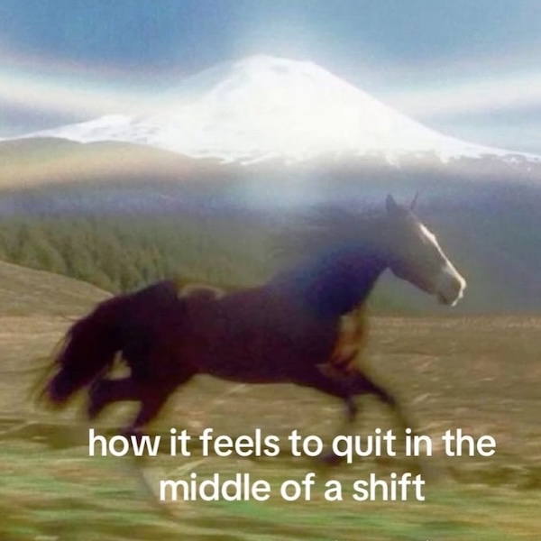 How is it Monday again?! Memes & Tweet for the Tired and Overworked