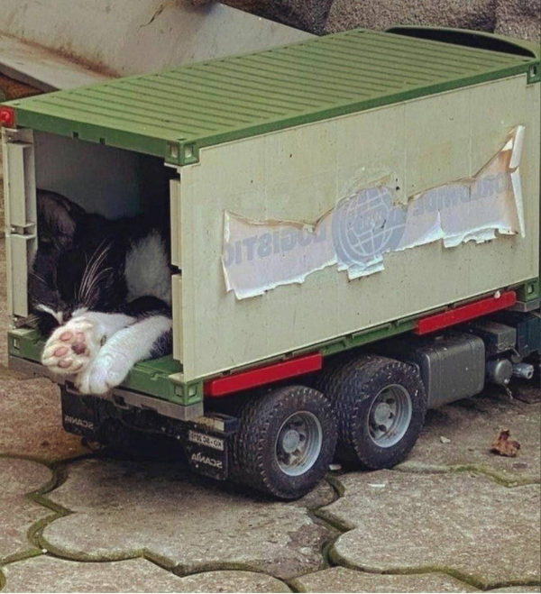 The CATS Are Here, Where Are the Boxes?!