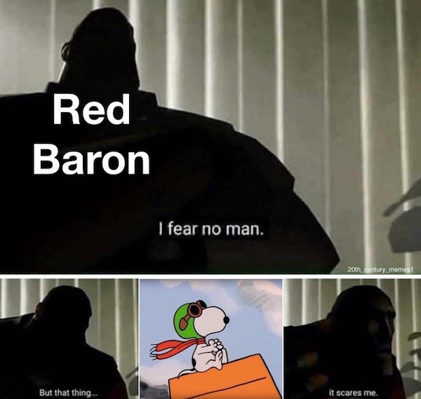 Peanuts memes that would cheer even Charlie Brown up