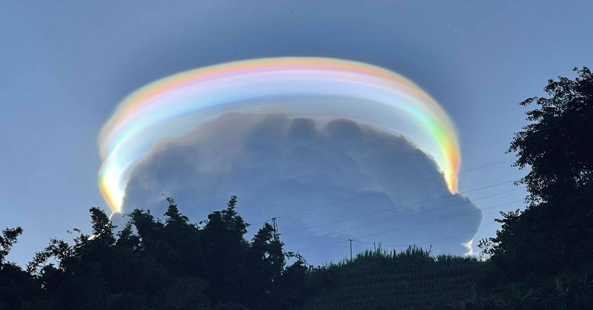 Beautiful Pictures | Pretty Pics - theCHIVE