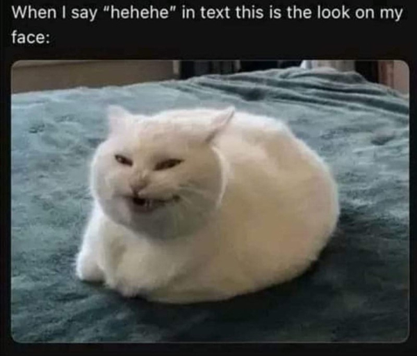 Get Your Paws in the Air, It’s Cat Saturday!