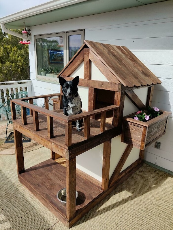 Spoiled pets that are living a life of luxury