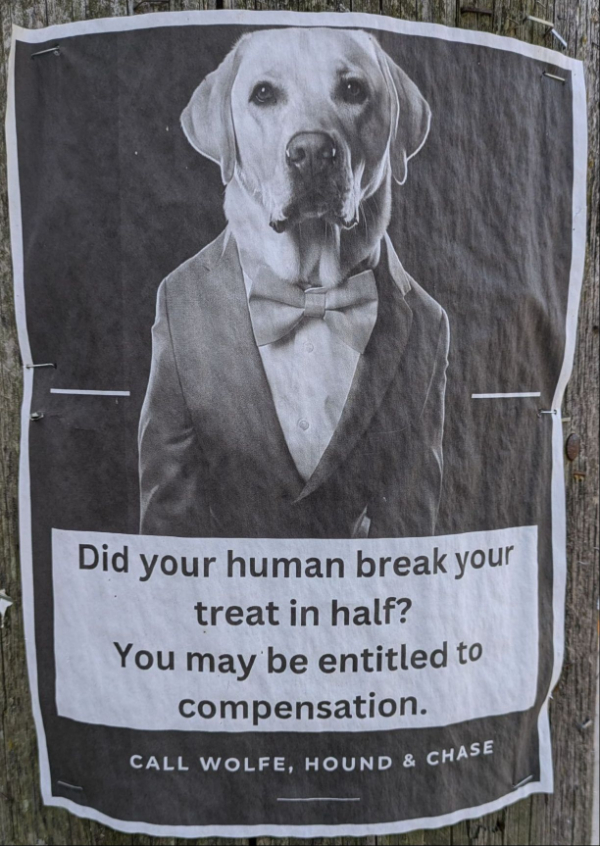 Throw a Bone to These Good Boys