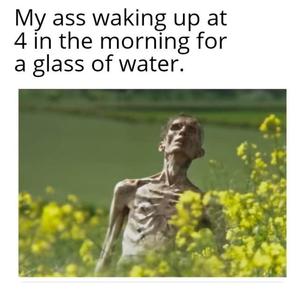 Here! Rest Up With Some Dank Memes