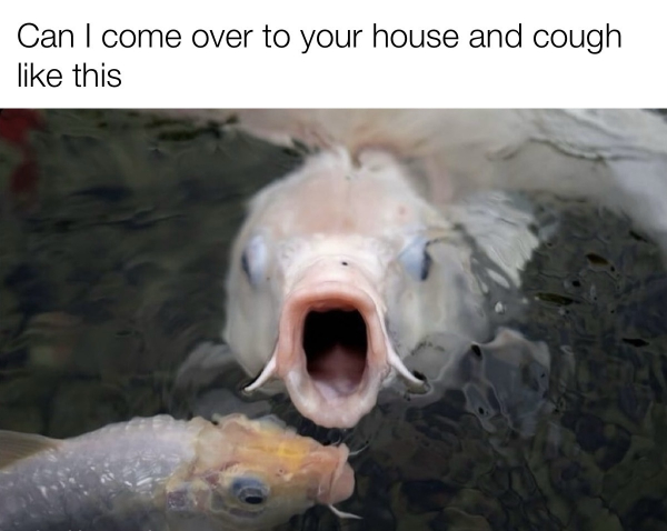 Fancy a Game of ‘You Laugh You Lose?'