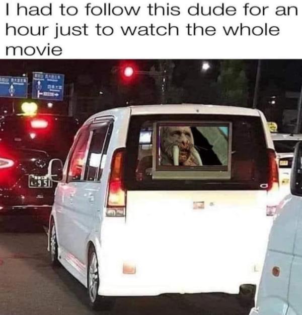 Beer-a-FULL Memes Drinking Funny Friday Pics Stupid Wis-DUMB Thoughts