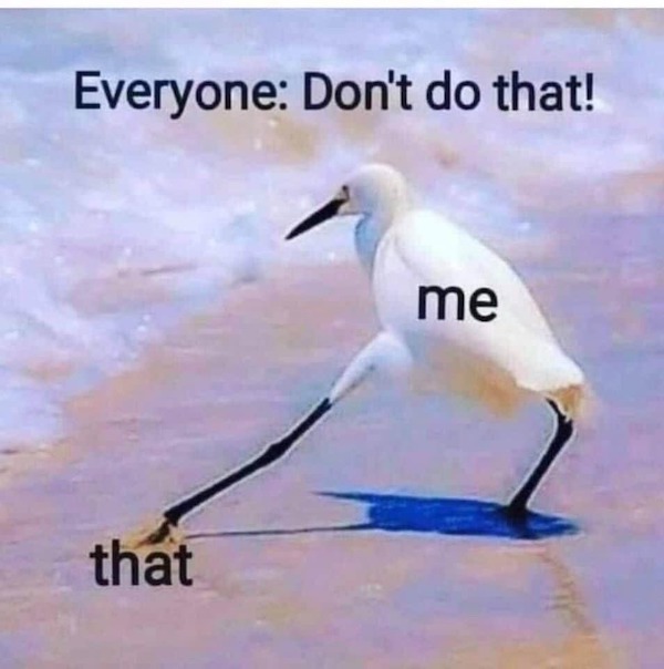 Cheesy Memes Funny Morning Photo Captions Best 2025 Pictures