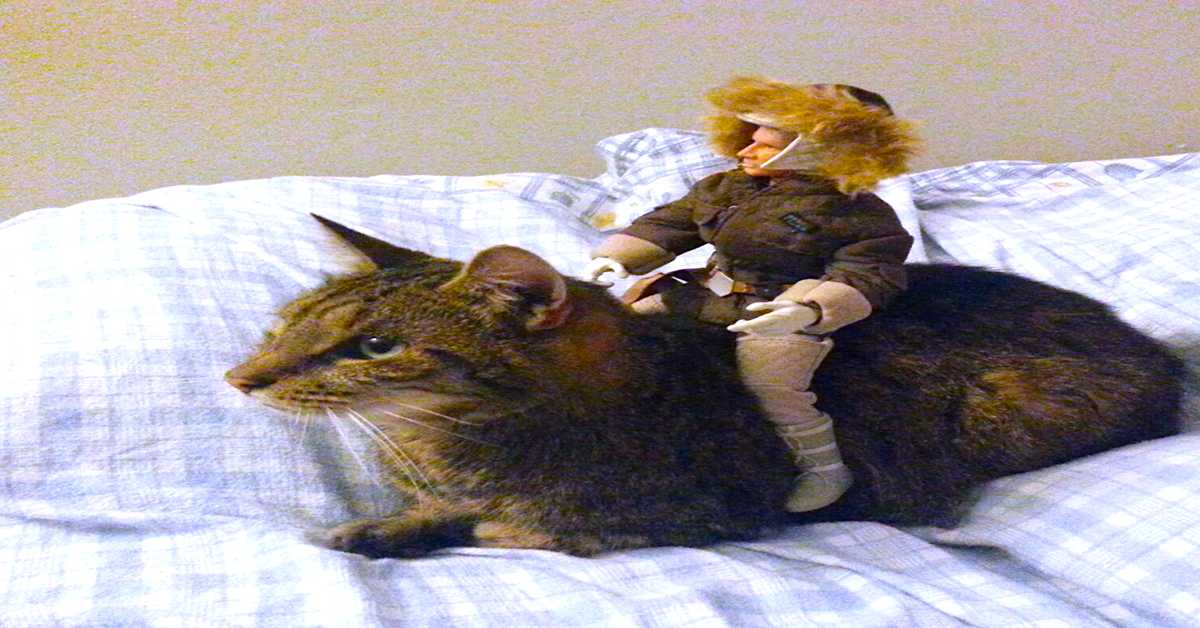 Daily Afternoon Randomness | Random Memes, Photos & Gifs - theCHIVE